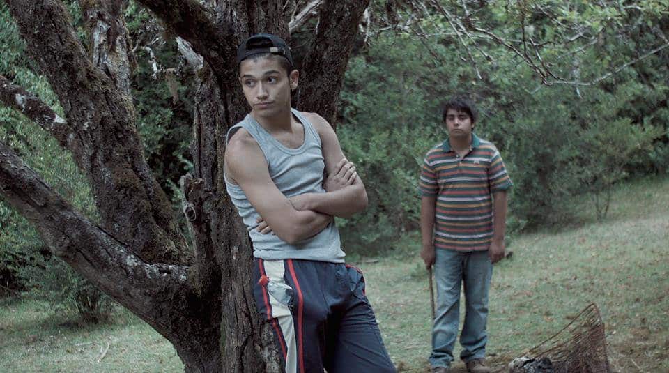 Une belle histoire d'adolescents dans le film chilien Mala Junta